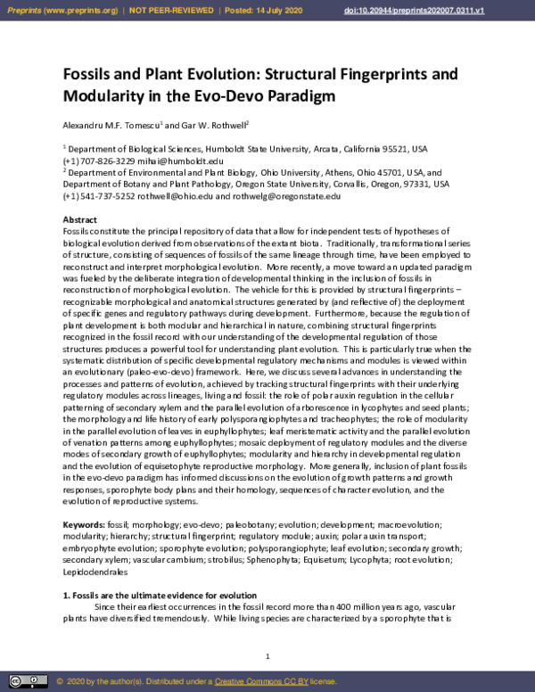 (PDF) Fossils and Plant Evolution: Structural Fingerprints and Modularity in the Evo-Devo Paradigm