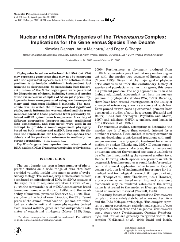 (PDF) Nuclear and mtDNA Phylogenies of the Trimeresurus Complex ...