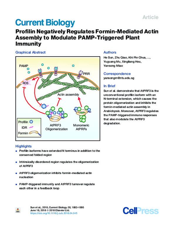 (PDF) Profilin Negatively Regulates Formin-Mediated Actin Assembly to ...