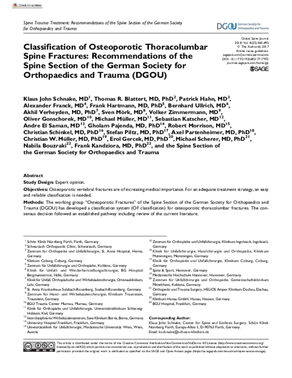(PDF) Classification of Osteoporotic Thoracolumbar Spine Fractures ...