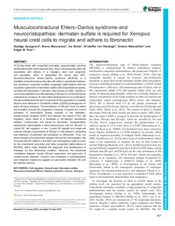 (PDF) Musculocontractural Ehlers-Danlos syndrome and neurocristopathies ...
