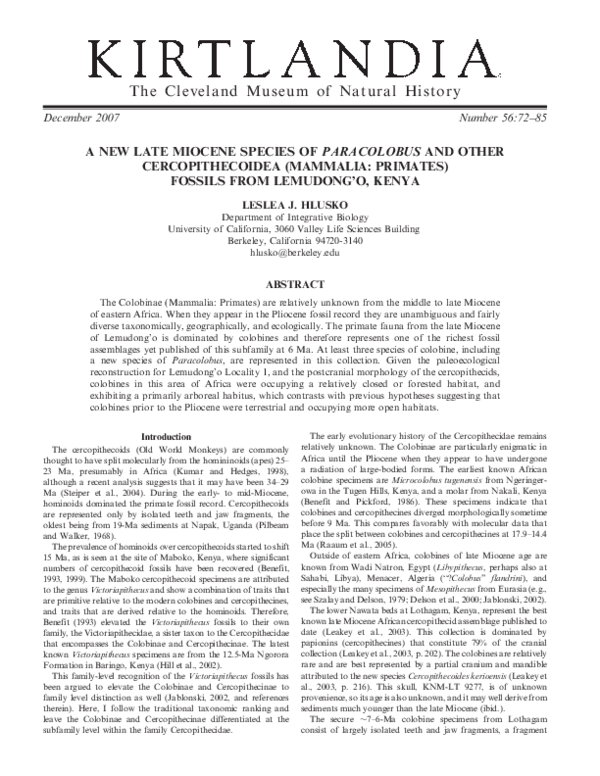 (PDF) A New Late Miocene Species of Paracolobus and Other ...