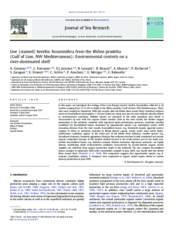 (PDF) Live (stained) benthic foraminifera from the Rhône prodelta (Gulf ...