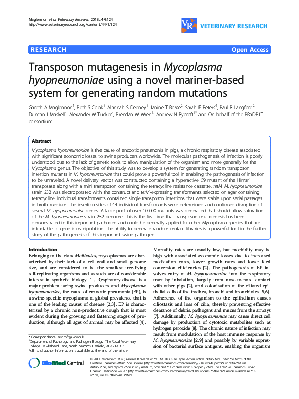(PDF) Transposon mutagenesis in Mycoplasma hyopneumoniae using a novel ...