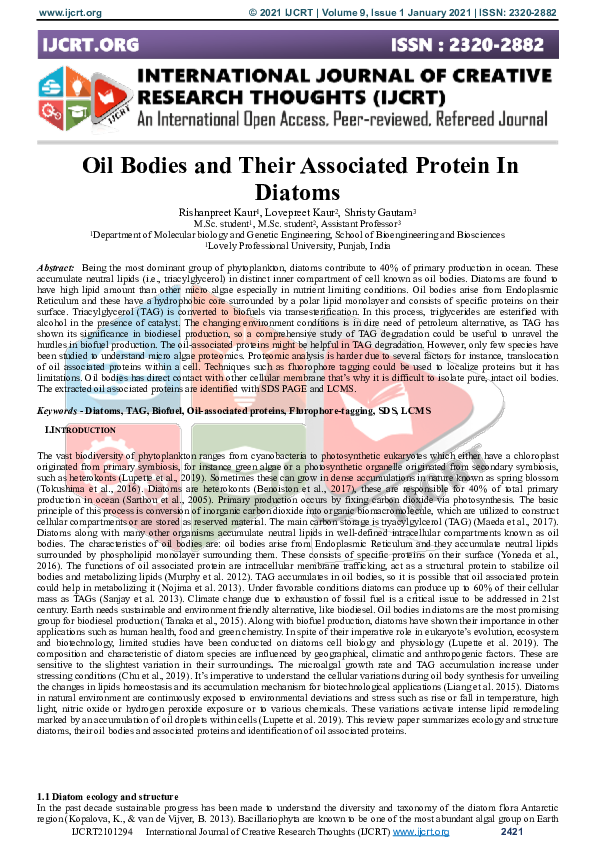 (PDF) Oil Bodies and Their Associated Protein In Diatoms