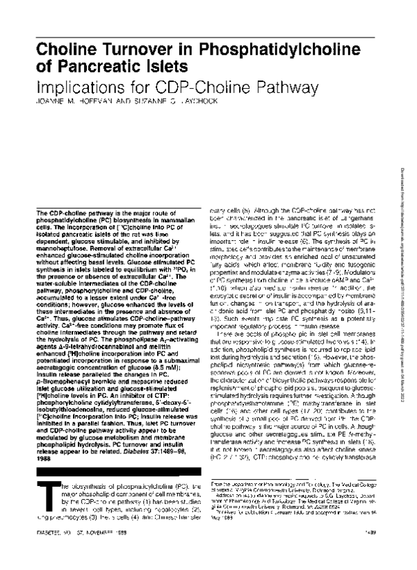(PDF) Choline turnover in phosphatidylcholine of pancreatic islets ...