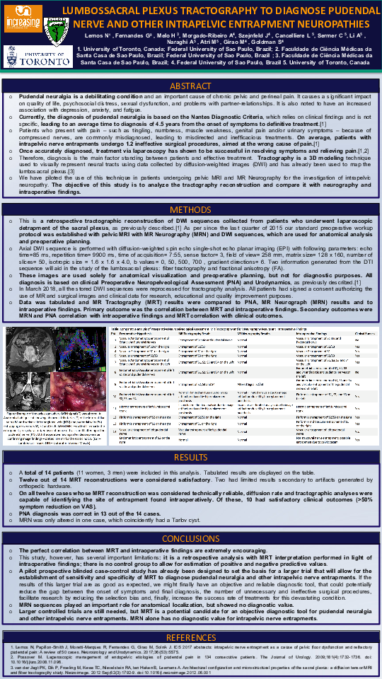 (PDF) Lumbosacral Plexus Tractography to diagnose pudendal nerve and ...
