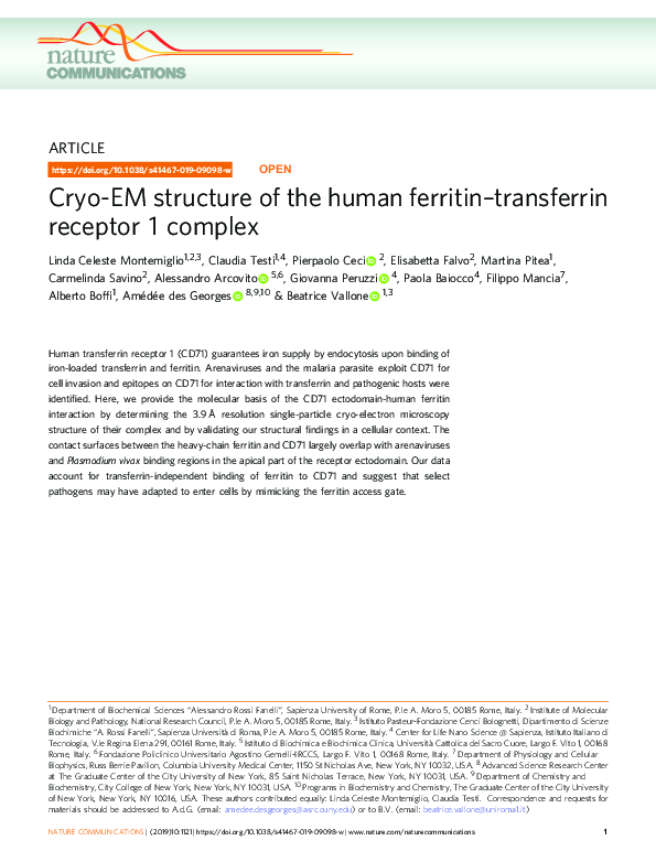 (PDF) Cryo-EM structure of the human ferritin–transferrin receptor 1 ...