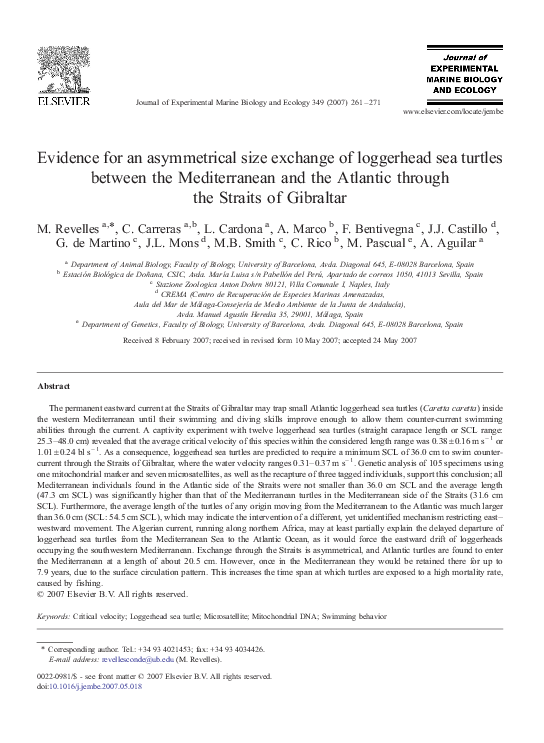 (PDF) Evidence for an asymmetrical size exchange of loggerhead sea ...