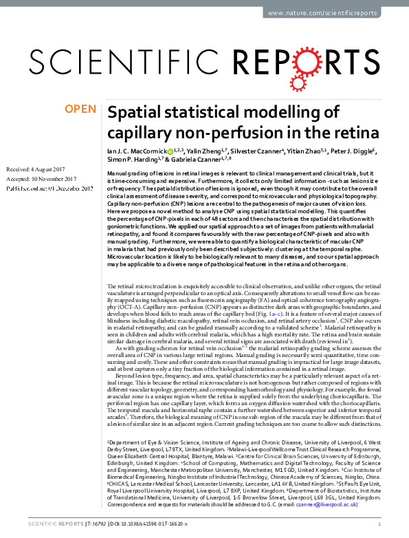 (PDF) Spatial statistical modelling of capillary non-perfusion in the ...
