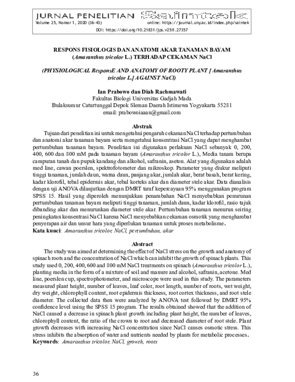 (PDF) RESPONS FISIOLOGIS DAN ANATOMI AKAR TANAMAN BAYAM (Amaranthus ...