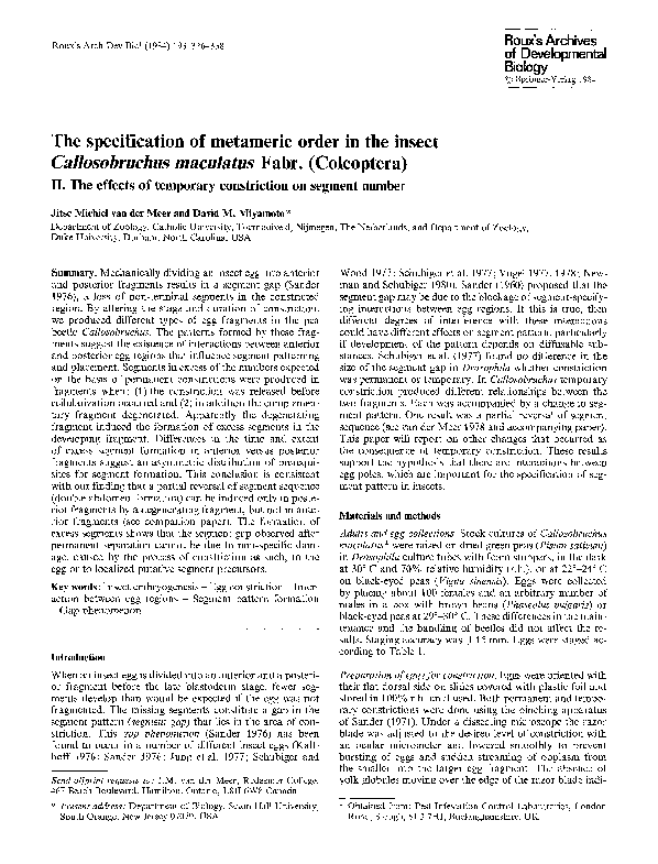 (PDF) The specification of metameric order in the insectCallosobruchus ...