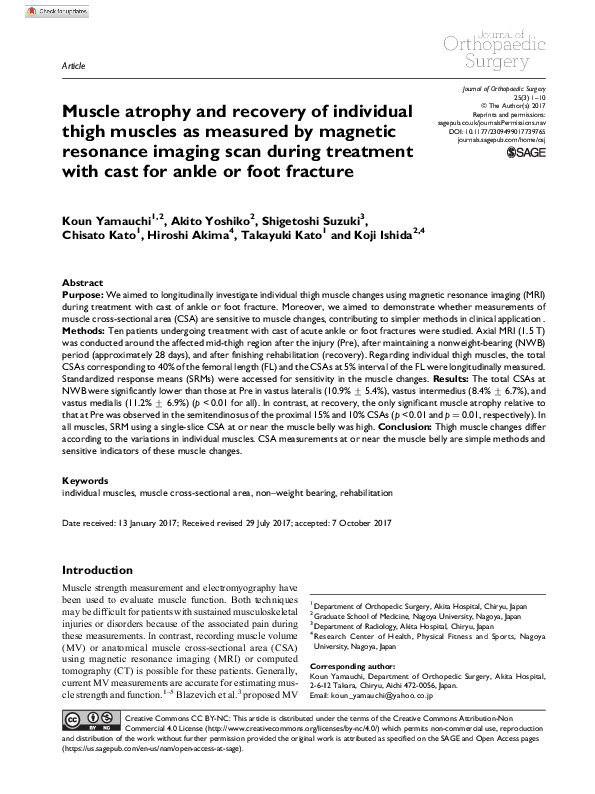 (PDF) Muscle atrophy and recovery of individual thigh muscles as ...