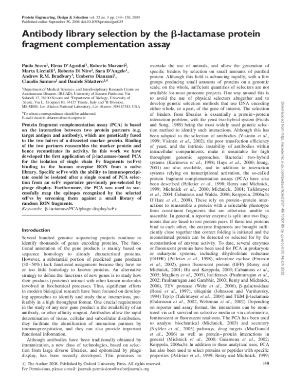 Pdf Antibody Library Selection By The β Lactamase Protein Fragment