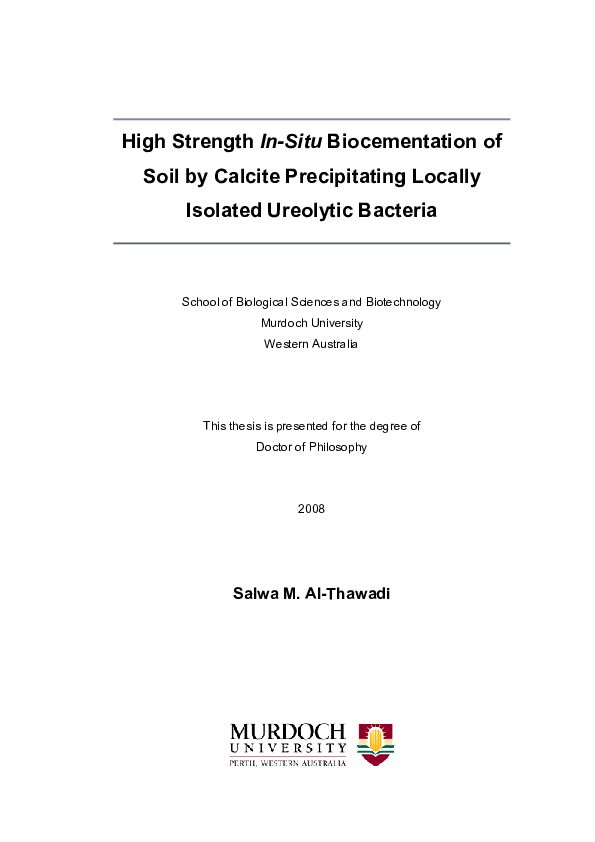 (PDF) High strength in-situ biocementation of soil by calcite ...