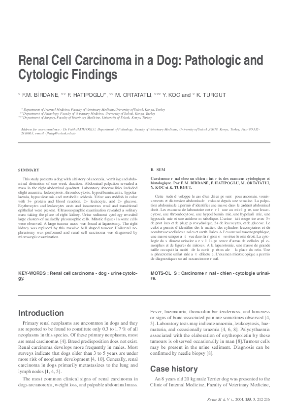 (PDF) Renal cell carcinoma in a dog: pathologic and cytologic findings.