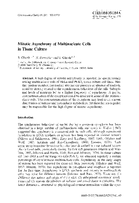 (PDF) Mitotic asynchrony of multinucleate cells in tissue culture