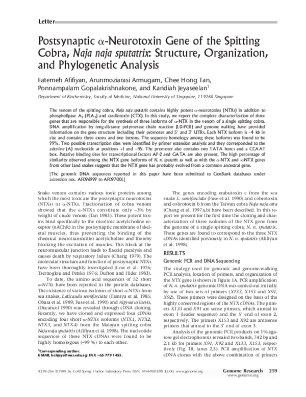 (PDF) Postsynaptic alpha-neurotoxin gene of the spitting cobra, Naja ...