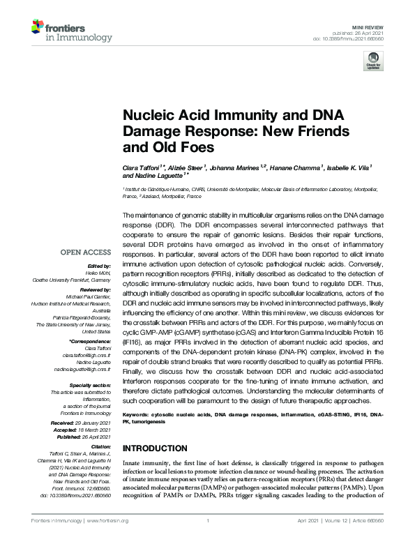 (PDF) Nucleic Acid Immunity and DNA Damage Response: New Friends and ...