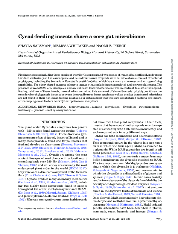 (PDF) Cycad-feeding insects share a core gut microbiome