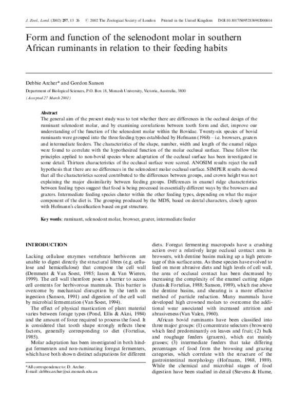 (PDF) Form and function of the selenodont molar in southern African ...