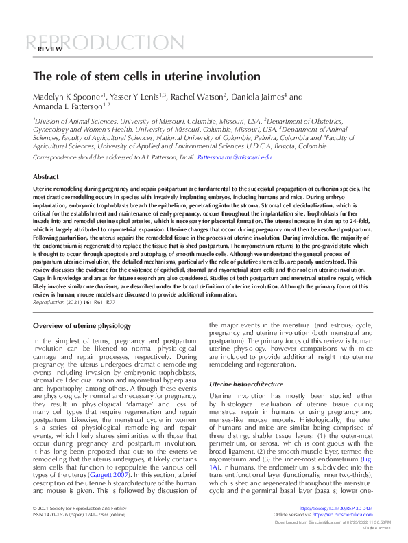 (PDF) The role of stem cells in uterine involution