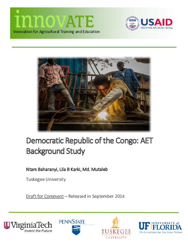 (PDF) Democratic Republic of the Congo: AET Background Study