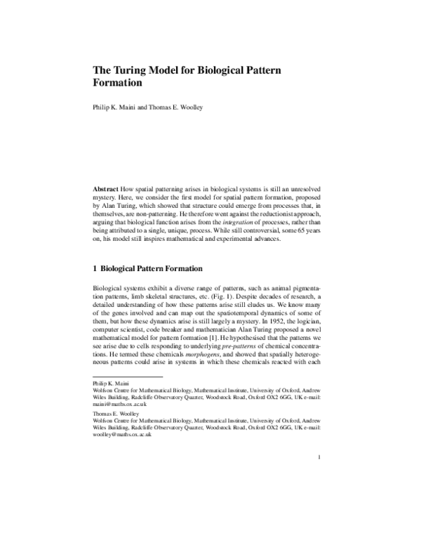 (PDF) The Turing Model for Biological Pattern Formation