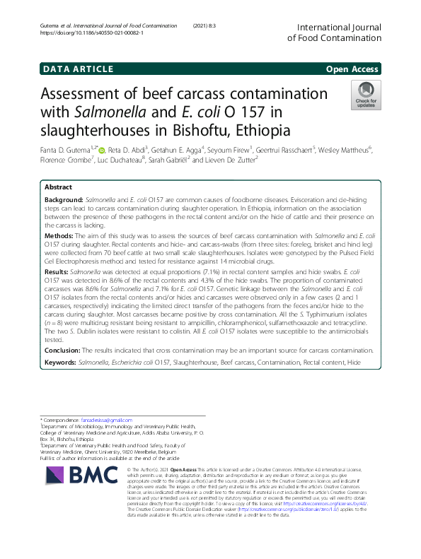 (PDF) Assessment of beef carcass contamination with Salmonella and E ...