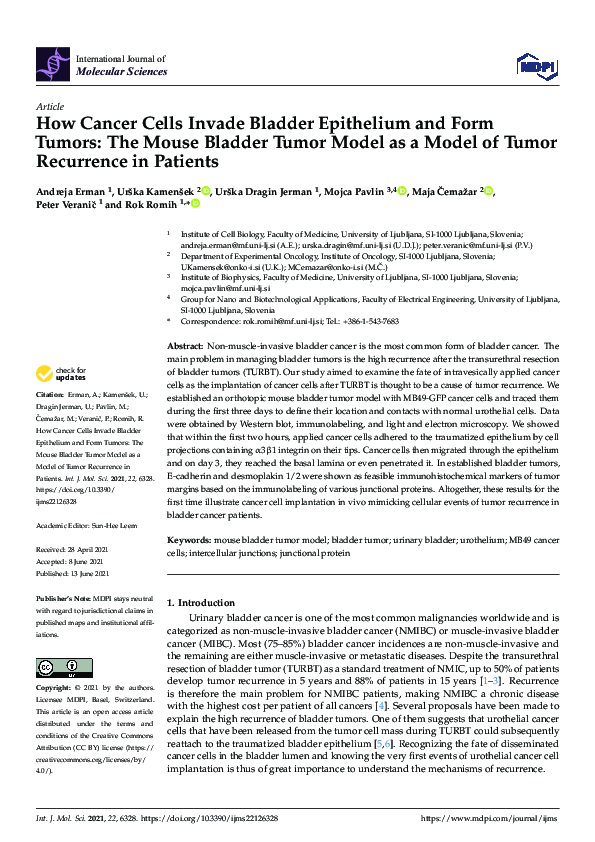 (PDF) How Cancer Cells Invade Bladder Epithelium and Form Tumors: The ...