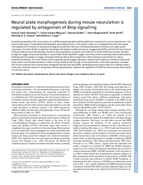 (PDF) Neural plate morphogenesis during mouse neurulation is regulated ...