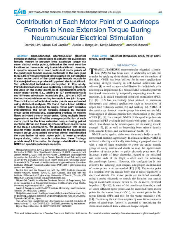 (PDF) Contribution of Each Motor Point of Quadriceps Femoris to Knee ...