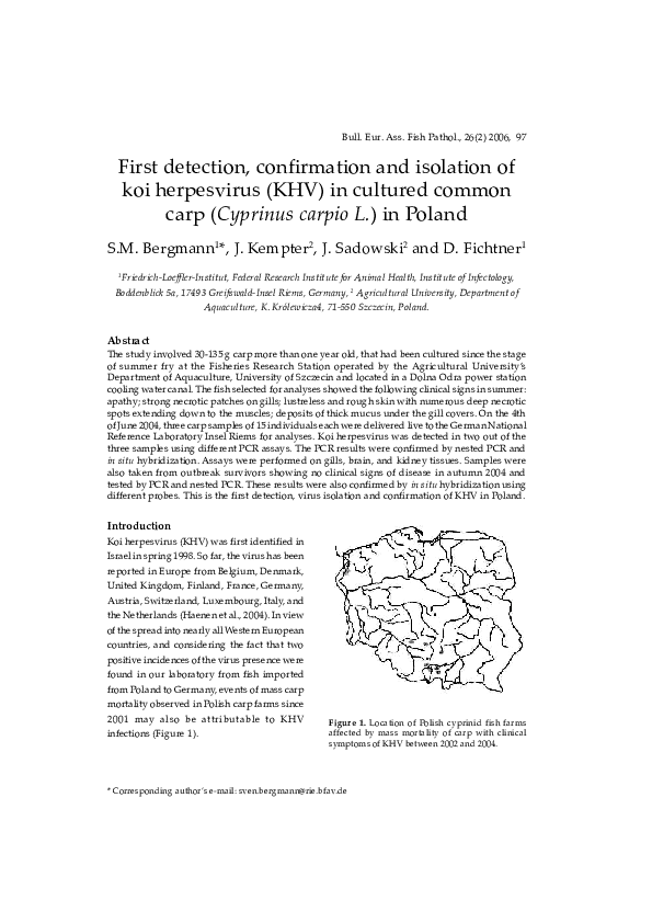 (PDF) First detection, confirmation and isolation of koi herpesvirus ...