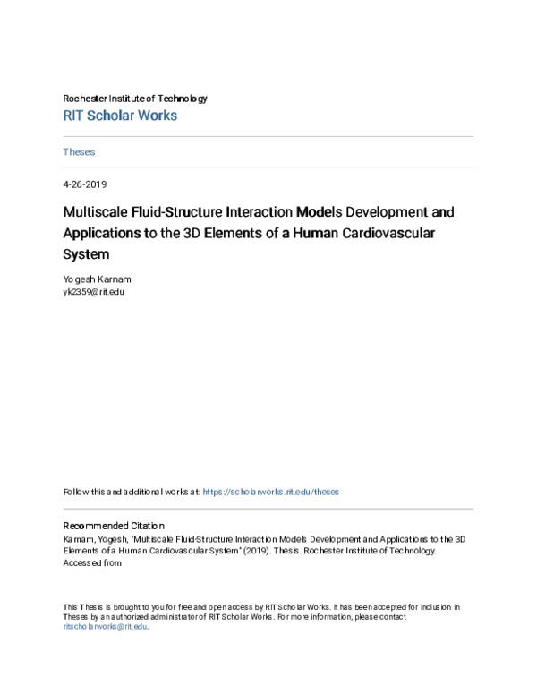 (PDF) Multiscale Fluid-Structure Interaction Models Development and Applications to the 3D ...