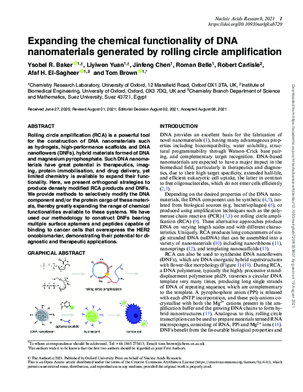 (PDF) Expanding the chemical functionality of DNA nanomaterials ...