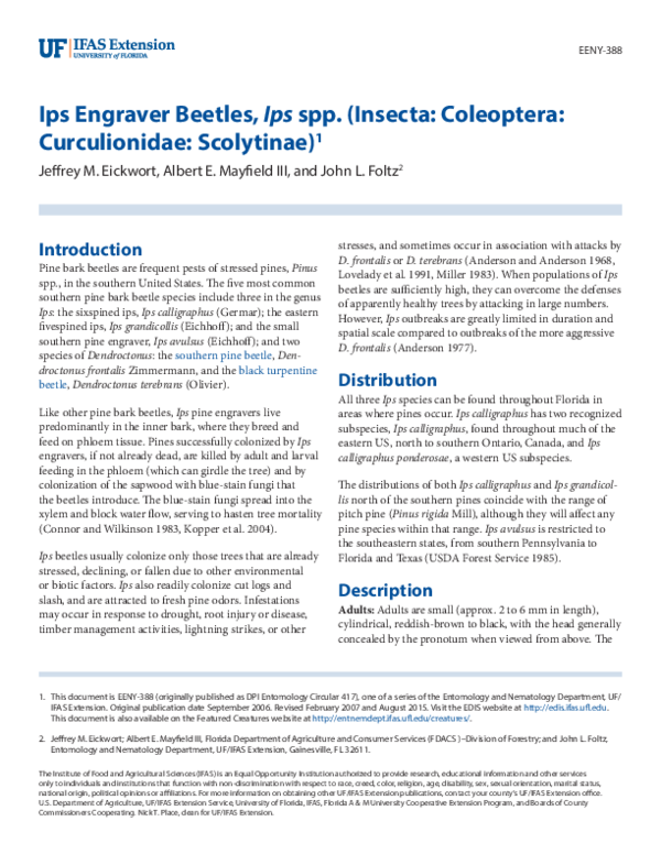 (PDF) Ips Engraver Beetles, Ips spp. (Insecta: Coleoptera ...