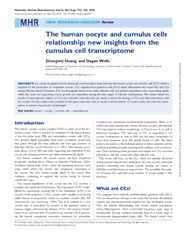 (PDF) The human oocyte and cumulus cells relationship: new insights ...