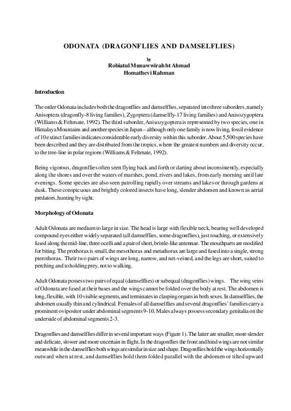 (PDF) ODONATA (DRAGONFLIES AND DAMSELFLIES) by