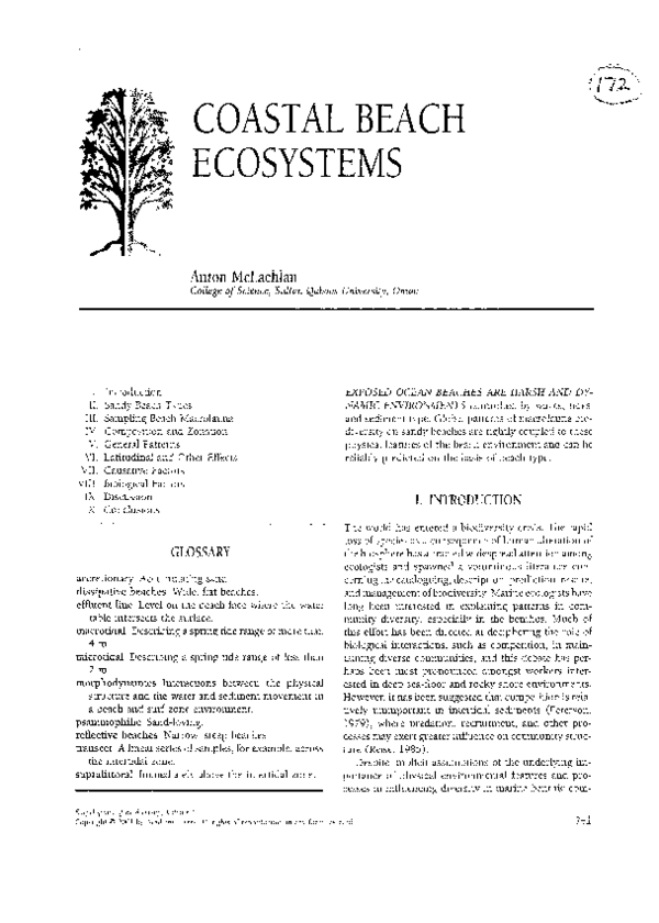 (PDF) Coastal Beach Ecosystems