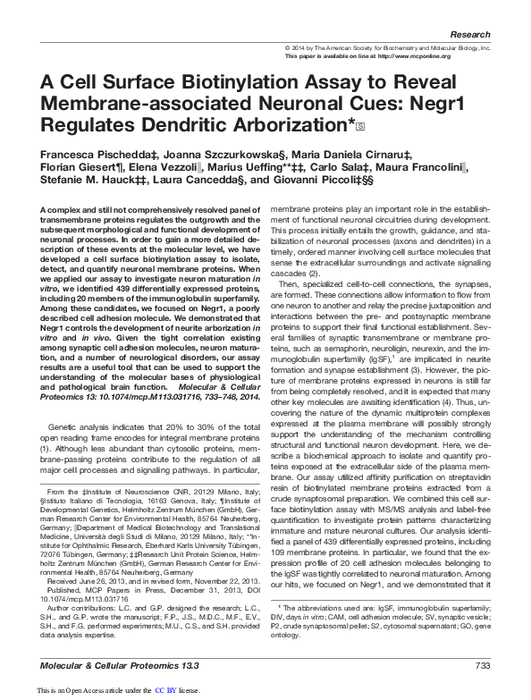 (PDF) A Cell Surface Biotinylation Assay to Reveal Membrane-associated ...