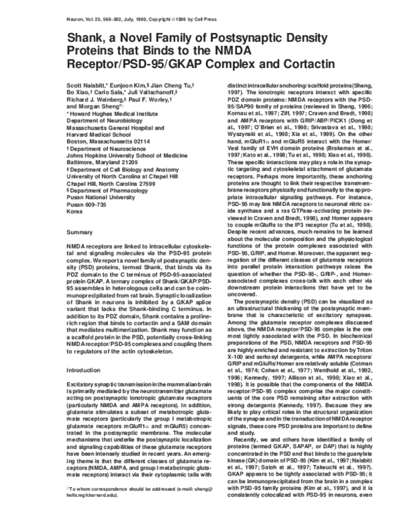 (PDF) Shank, a novel family of postsynaptic density proteins that binds ...