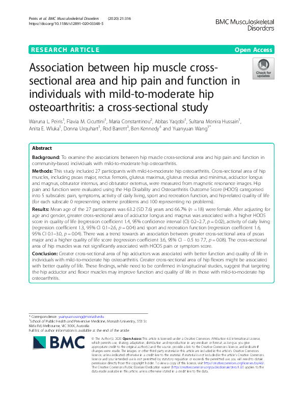 (PDF) Association between hip muscle cross-sectional area and hip pain ...