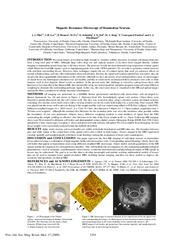 (PDF) Magnetic resonance microscopy of mammalian neurons