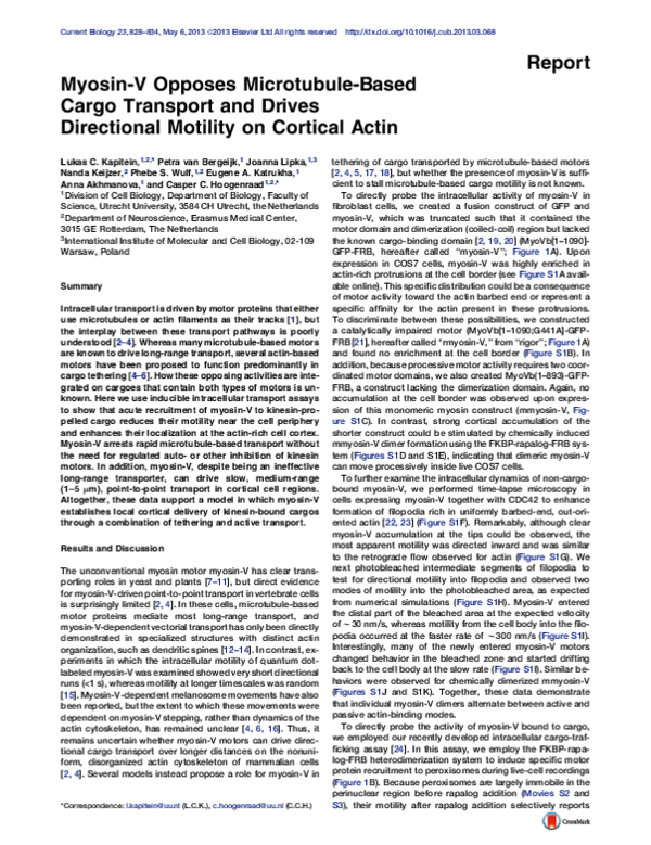 (PDF) Myosin-V Opposes Microtubule-Based Cargo Transport and Drives ...
