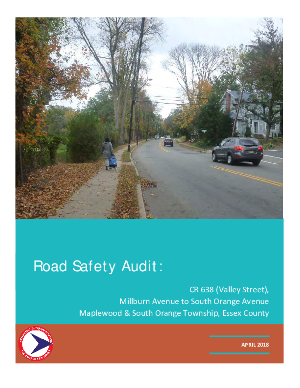 (PDF) Road Safety Audit