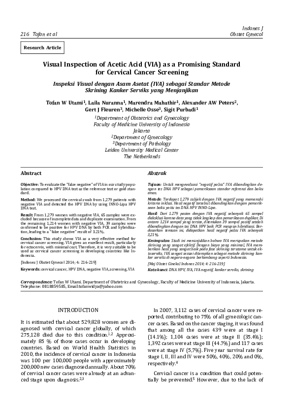 (PDF) Visual Inspection of Acetic Acid (VIA) as a Promising Standard ...