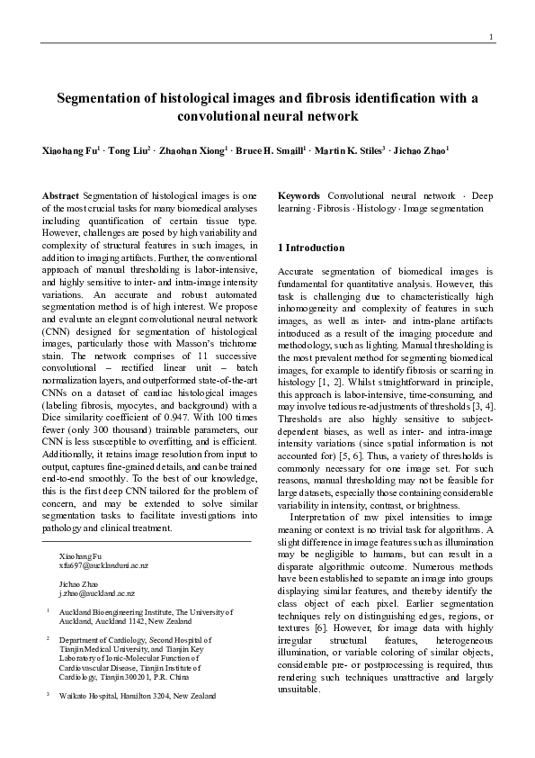 Pdf Segmentation Of Histological Images And Fibrosis Identification With A Convolutional
