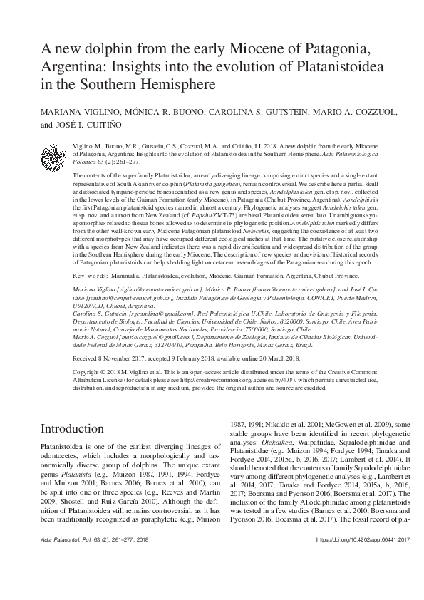 (PDF) A new dolphin from the early Miocene of Patagonia (Argentina ...