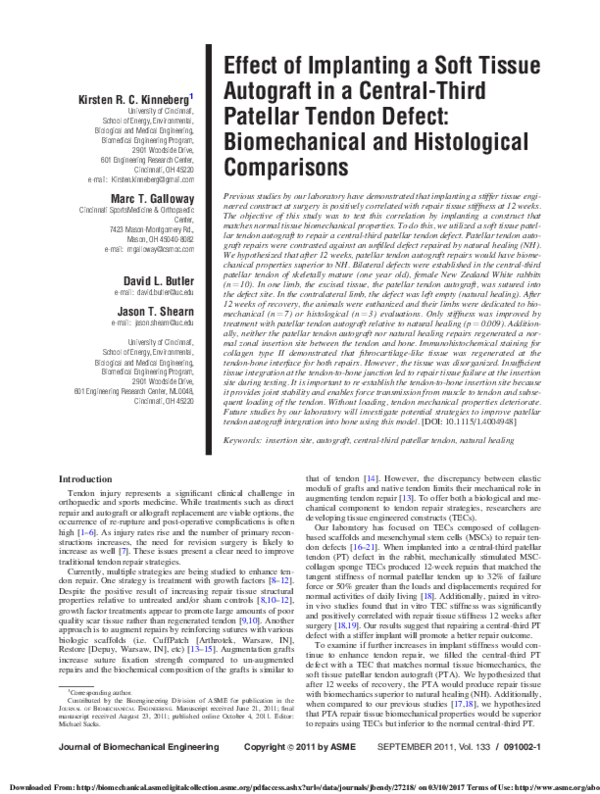 (PDF) Effect of Implanting a Soft Tissue Autograft in a Central-Third ...