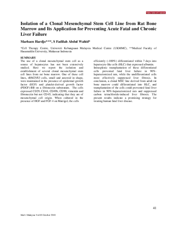 (PDF) Isolation of a Clonal Mesenchymal Stem Cell Line from Rat Bone ...